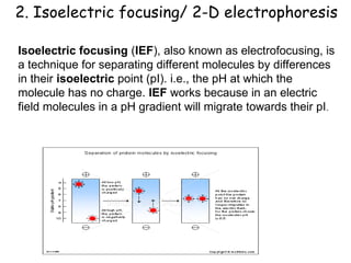 PROTEIN TECHNIQUES LECTURE AND PURIFICATION2(3).ppt