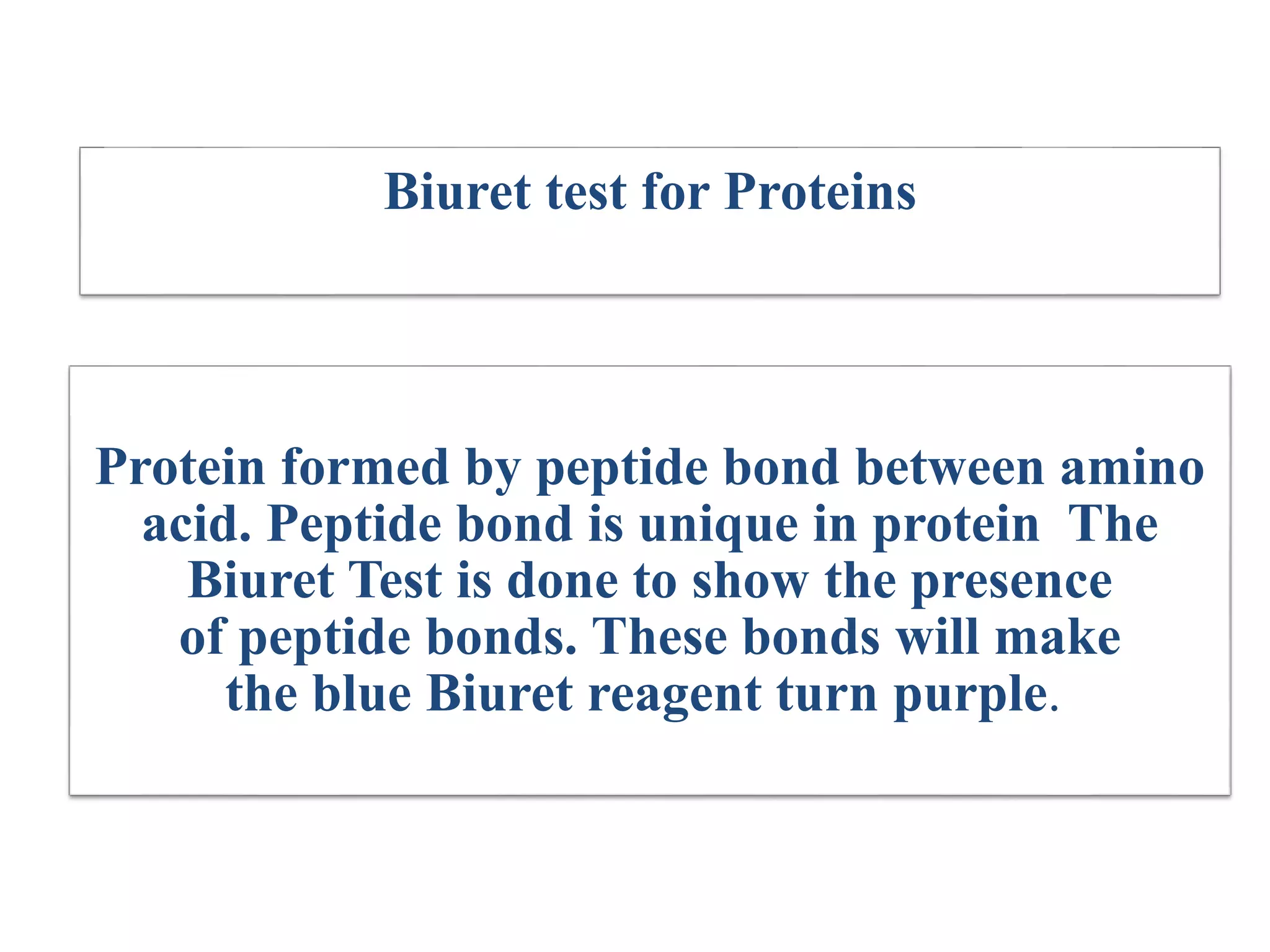 Protein test | PPT