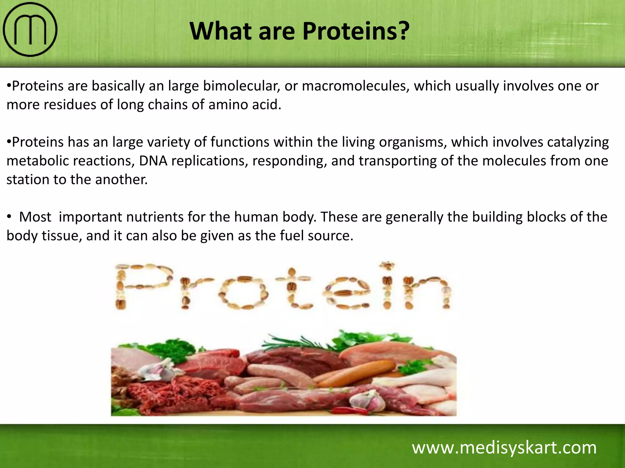 Protein Tips and Guidelines in Bodybuilding | PPT