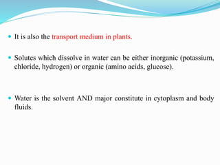 Protein trafficking and importance of water | PPTX
