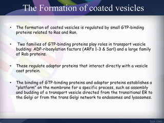Protein trafficking in lysosomes | PPTX
