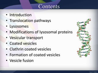 Protein trafficking in lysosomes | PPTX