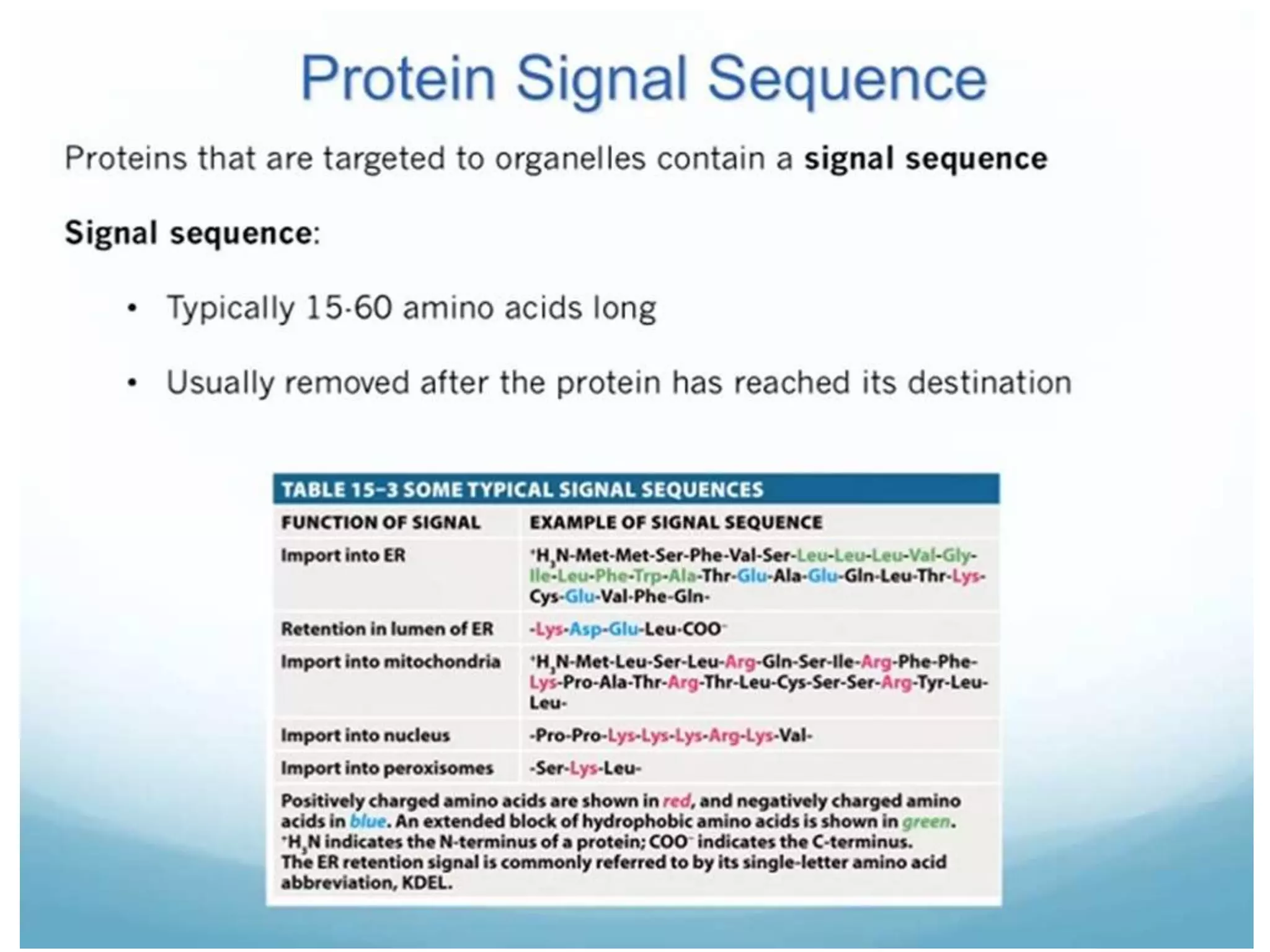 Protein transport, targeting and sorting | PPTX