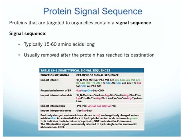 Protein transport, targeting and sorting | PPTX | Chemistry | Science