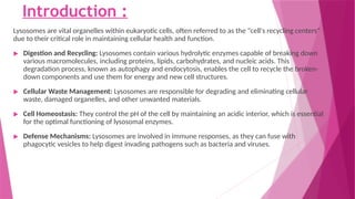 Introduction to Protein Transport to Lysosome | PPTX