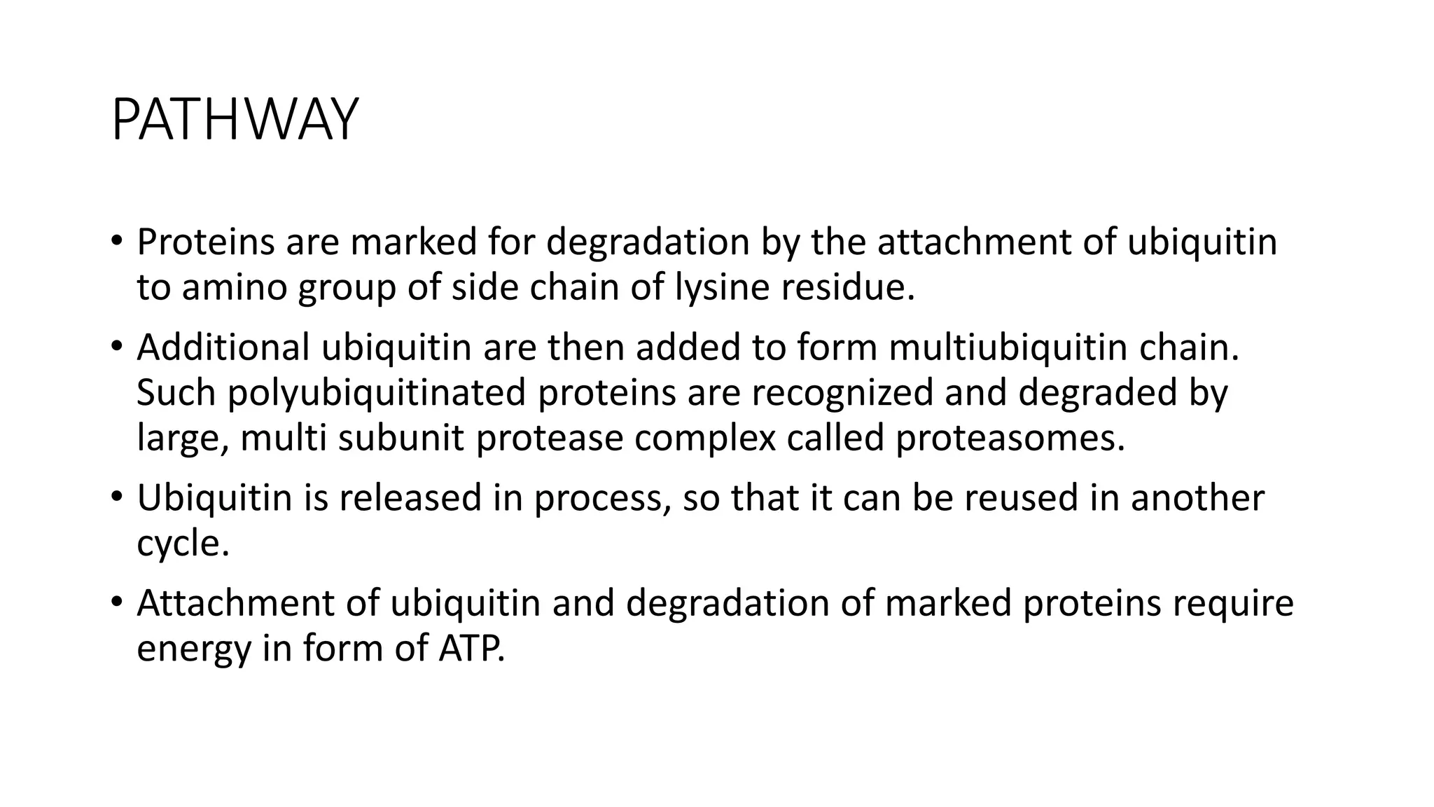 protein turnover and degradation.pptx