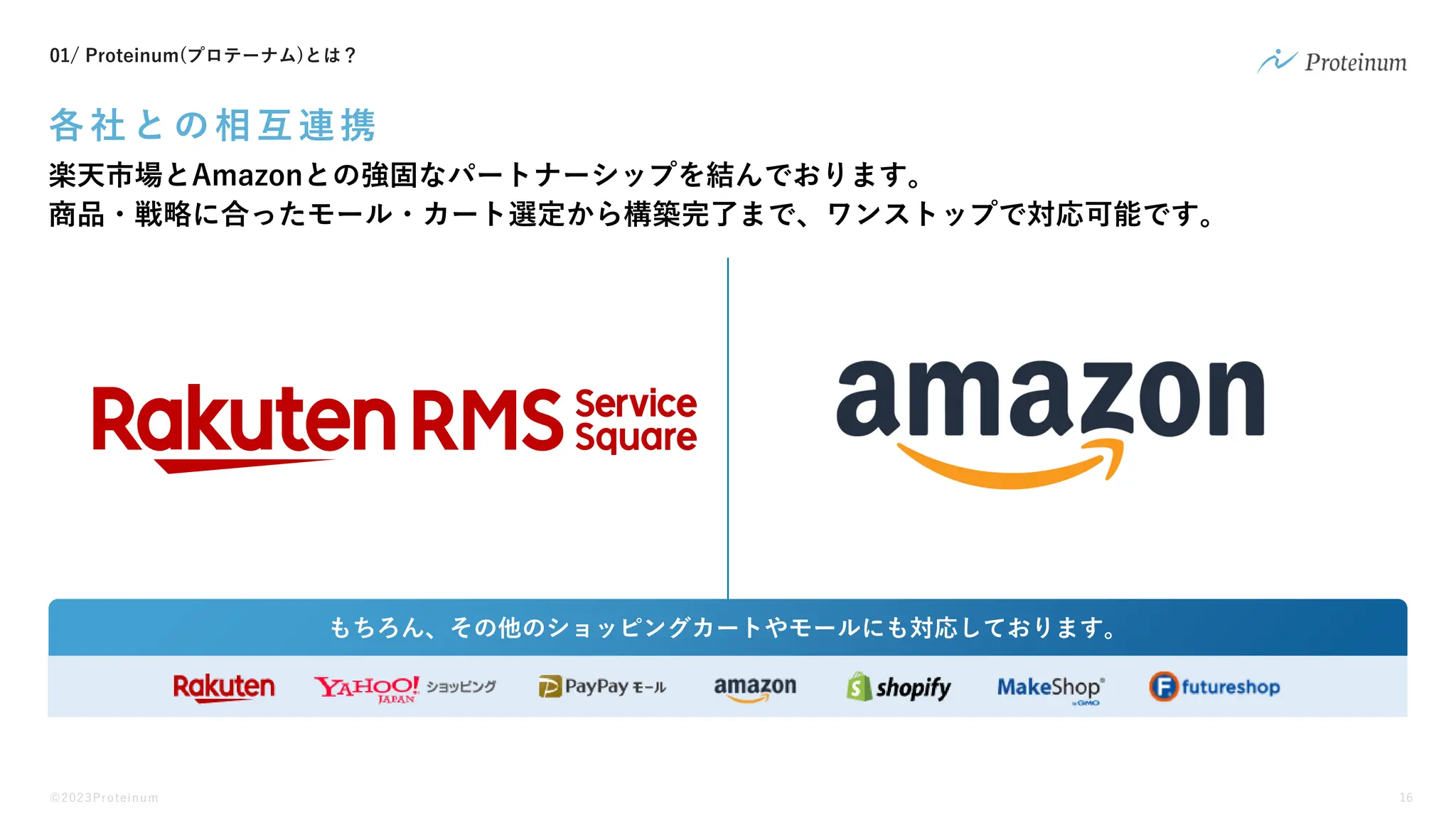 Proteinum_会社案内.pdf