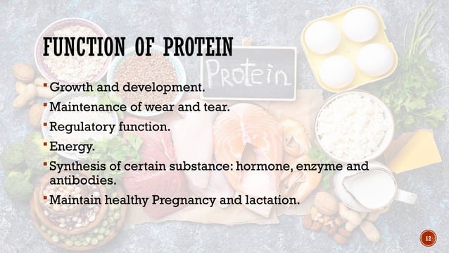 protein unit 3.pptx bsc nursing 2nd semester | PPTX