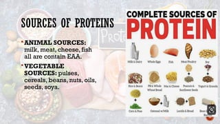 protein unit 3.pptx bsc nursing 2nd semester | PPTX