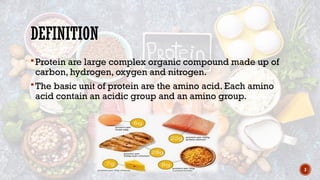 protein unit 3.pptx bsc nursing 2nd semester | PPTX