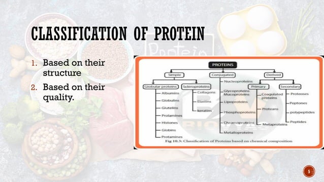 protein unit 3.pptx bsc nursing 2nd semester | PPTX