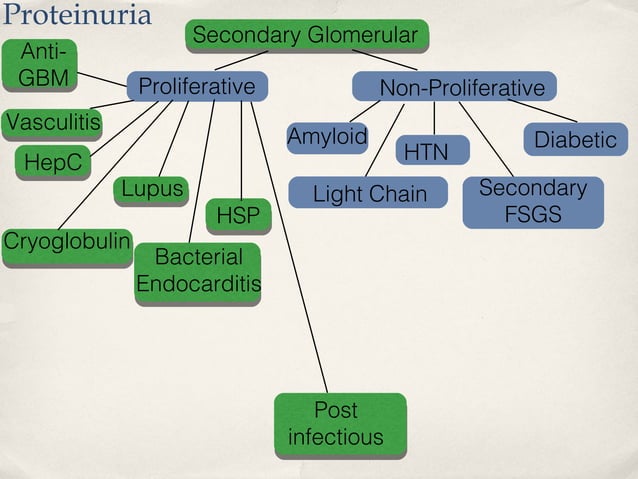Proteinuria, A medical student prespective | PPT