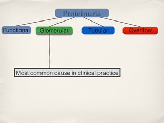 Proteinuria, A medical student prespective | PPT