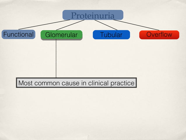 Proteinuria, A medical student prespective | PPT