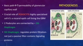 Proteinuria | PPTX