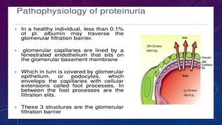 Proteinuria | PPTX