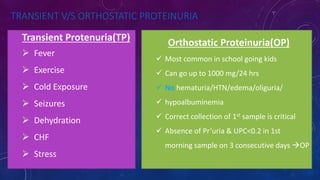 Proteinuria | PPTX