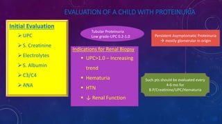 Proteinuria | PPTX