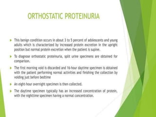 proteinuria.pptx