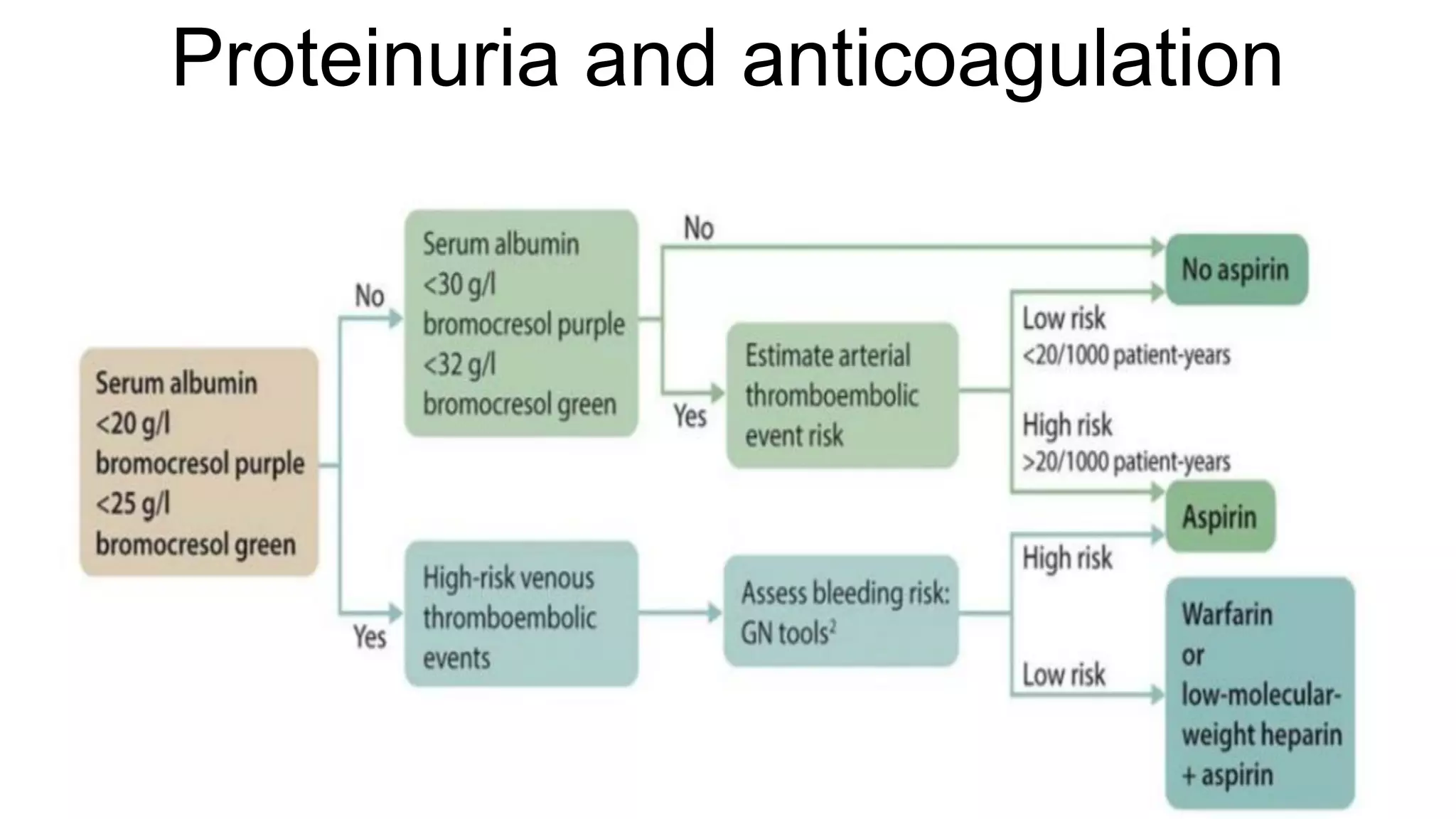 proteinuria approach Dr. Abdel Rahman Mansy.pdf