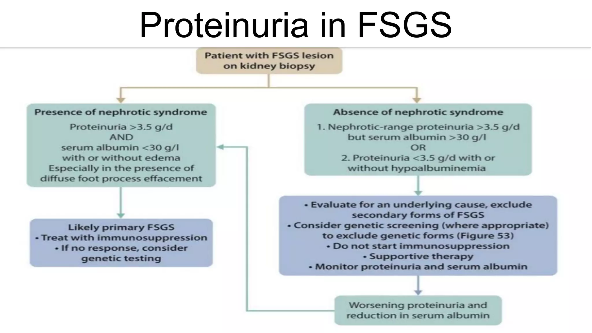 proteinuria approach Dr. Abdel Rahman Mansy.pdf
