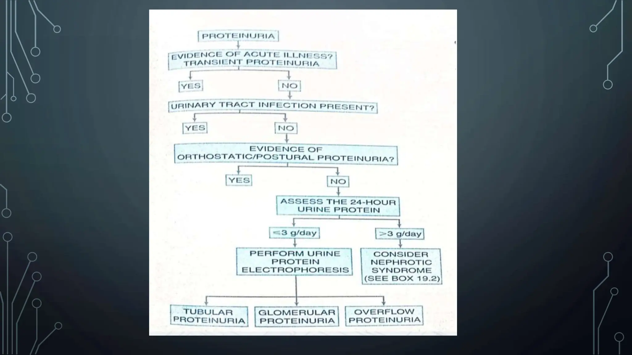 proteinuria and its types ,causes,micro and macroalbuminuria. | PPTX