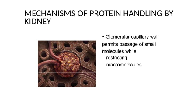 proteinuria presentation how on approach.pptx | Blood Disorders ...
