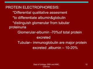 Proteinuria | PDF