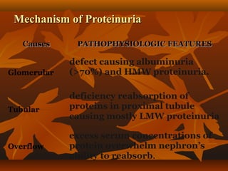 Proteinuria how to approach | PPT