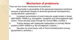 Proteinuria sobh | PPTX | Blood Disorders | Diseases and Conditions