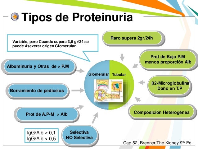 Proteinuria Adalah