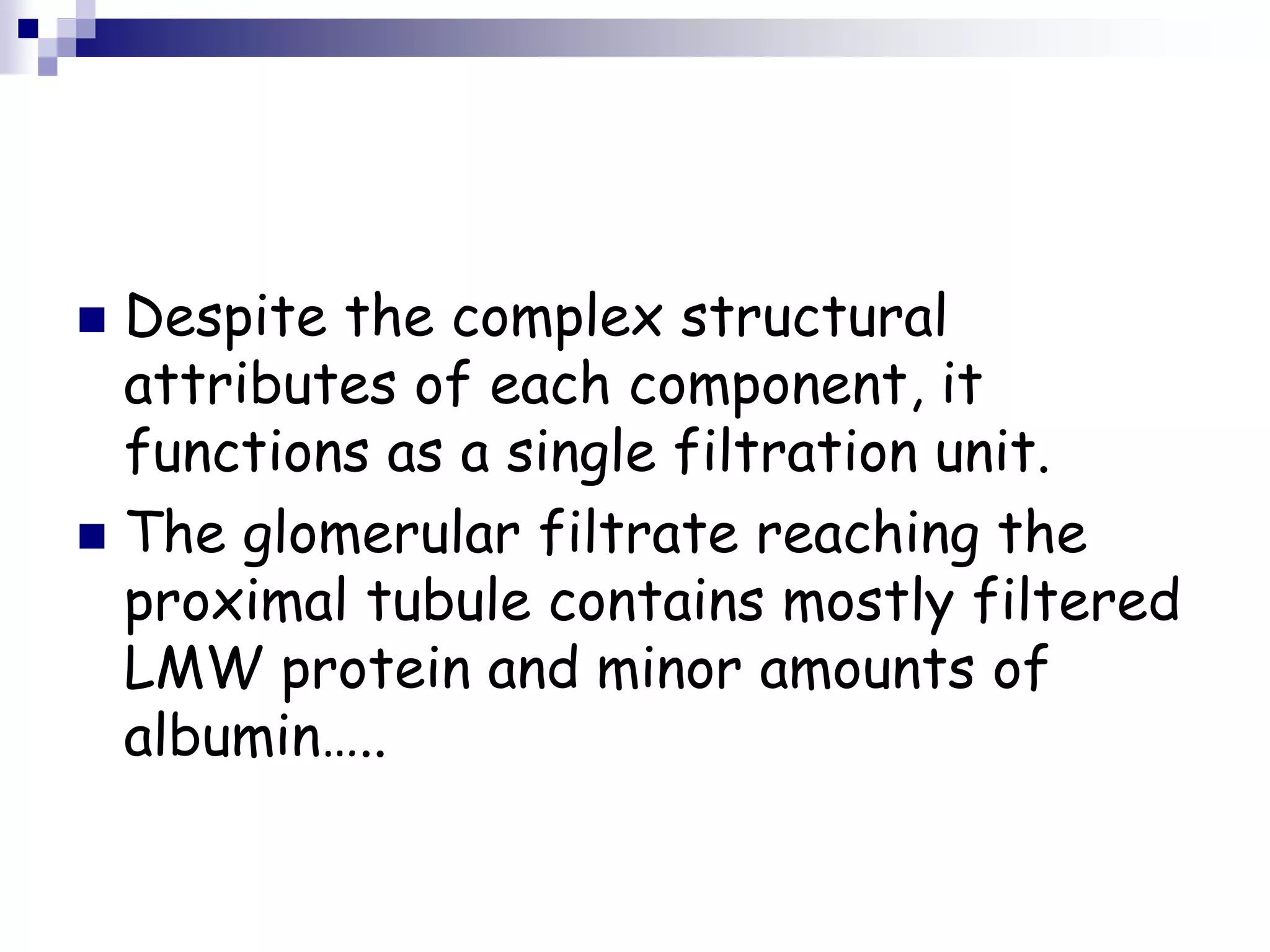 Proteinuria_and_Nephrotic_Syndrome.ppt