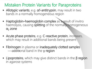 Proteinuria and paraproteinemias | PPTX