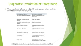 proteinuriainadults-160710054450 dssaa.pptx