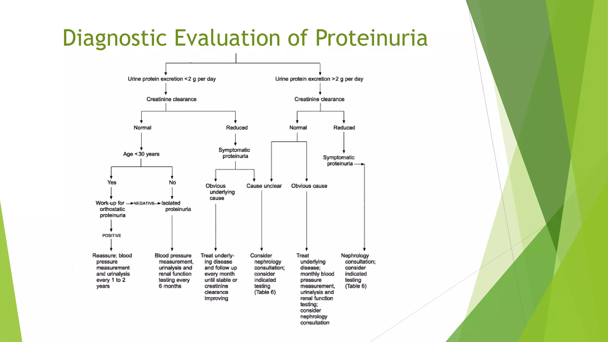 Proteinuria in adults | PPTX