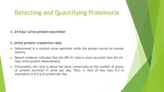 Proteinuria in adults | PPTX