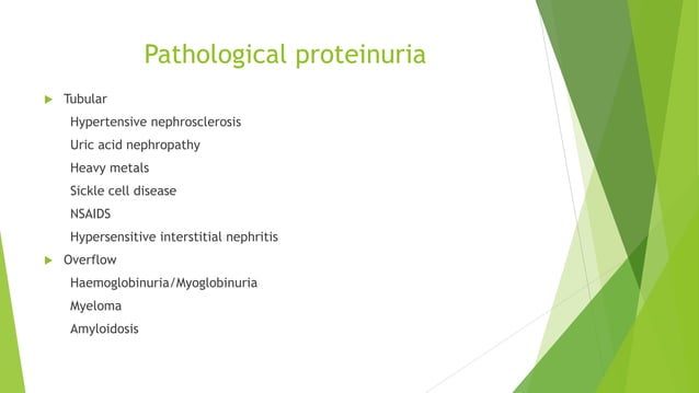 Proteinuria in adults | PPTX | Blood Disorders | Diseases and Conditions