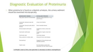 Proteinuria in adults | PPTX | Blood Disorders | Diseases and Conditions