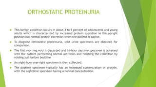 Proteinuria in adults | PPTX