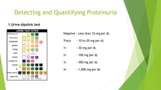 Proteinuria in adults | PPTX