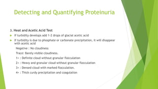 Proteinuria in adults | PPTX
