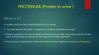 proteinuriapresentation-161220141802.pdf