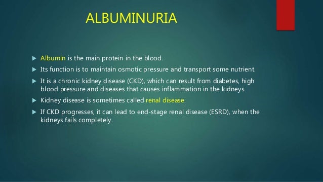 Albuminuria Causes Symptoms Treatment Albuminuria