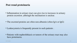 Proteinuria presentation dr shyam nephro.pptx