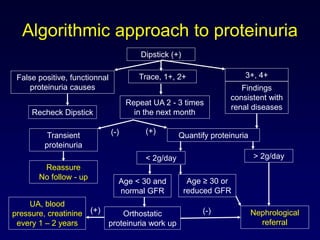 APPROACH TO PROTEINURIA | PPTX
