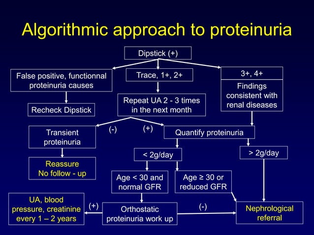 APPROACH TO PROTEINURIA | PPTX