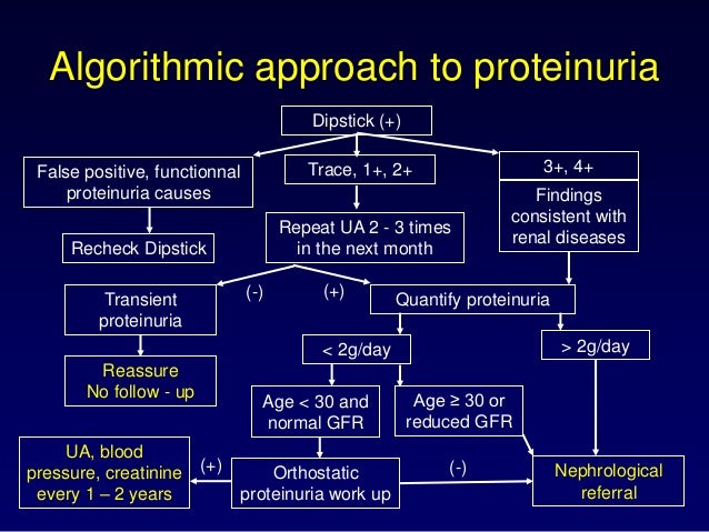 APPROACH TO PROTEINURIA