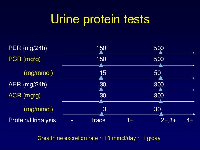 APPROACH TO PROTEINURIA