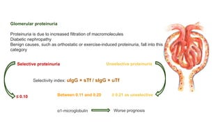 PROTEINURIA VS ALBUMINURIA DIFERENCIAS Y VENTAJAS | PPTX