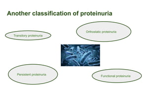 PROTEINURIA VS ALBUMINURIA DIFERENCIAS Y VENTAJAS | PPT